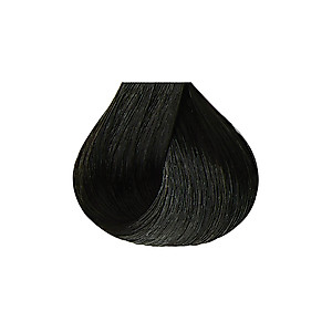 Kiss Tintation Semi-Permanent Hair Color 5 Ounce (Jet Black (2 Pack))