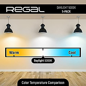 Regal LED A19 Light Bulb 5000K Daylight 800-Lumen, 9-Watt (60-Watt Equivalent), E26 Base, 5000 Kelvin, Day Light, 5-Pack, Non-Dimmable