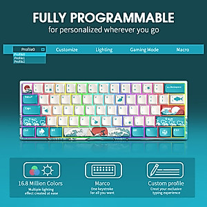60 Percent Keyboard, XVX M61 Pro 3-Modes Wireless Mechanical Keyboard, Hot-Swappable Custom Gaming Keyboard, RGB Backlit Keyboard for Windows Mac PC Gamers(Coral Sea Theme, Pre-lubed Linear Switch)