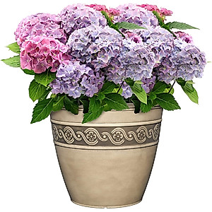 Classic Home and Garden Corinthian Resin Flower Pot Planter, Concrete Grey, 10"