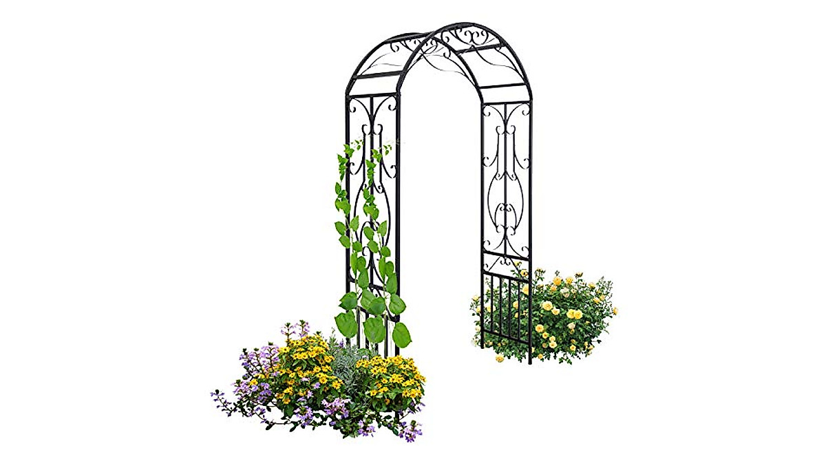 Stunning Black Metal Garden Arch for Climbing Plants