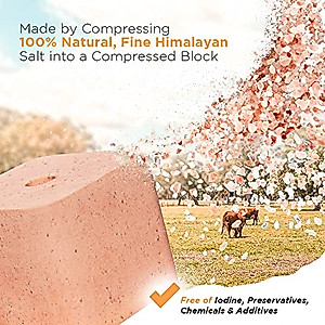 UMAID Compressed Pink Himalayan Salt Lick, [2 Pack] – 5.5 Lb. 100% Natural Himalayan Salt Block with Hanging Rope Helps Replace Lost Electrolytes for Deer, Horse, Cow, Goat, Pigs, Wild Animals & Pets