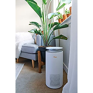 Crane Air Purifier with True HEPA Filter, Germicidal UV Light, 500 Sq Feet Coverage, Timer Function, Sleep Mode, Built in Air Quality Monititor, EE-5069,Blue and White,10.25 Pound