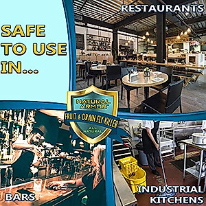 Fruit Fly & Drain Fly Killer - Simple Commercial Drain Gel Treatment - Eliminates Gross Fruit Flies, Drain Flies, Sewer Flies & Gnat Infestations from Any Drain. Fast & Easy - (128 Oz, Case of 4)