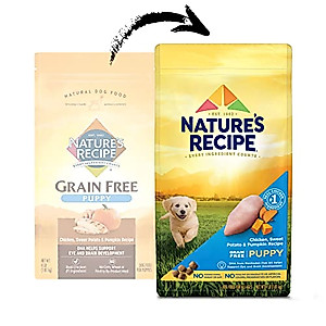 Nature′s Recipe Dry Puppy Food, Grain Free Puppy Chicken, Sweet Potato & Pumpkin Recipe, 4 lb. Bag