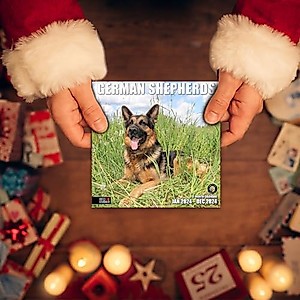 RED EMBER German Shepherds Mini 2024 Wall Calendar 12 Month | 7" x 14" Open | Thick & Sturdy Paper | Giftable | Calendar 2024