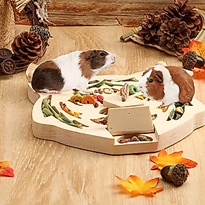 Sieral Wooden Enrichment Foraging Toy for Small Pet 7.7''x 7.1'' Interactive Hide Treats Puzzle Rabbit Toys Small Animal Toys Mental Stimulation Toys for Guinea Pig Hamster Bunny Rat Chinchilla