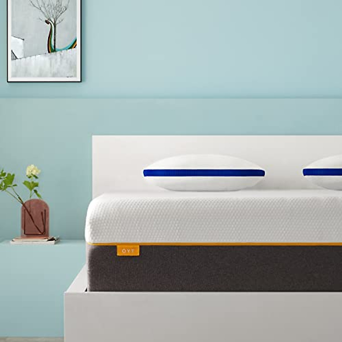 OYT 12" King Size Mattress and King Size Pillow 2-Pack, Gel Memory Foam Twin Bed Mattress in a Box and Cooling Shredded Memory Foam Pillows with CertiPUR-US Certified Foam for Sleep Supportive
