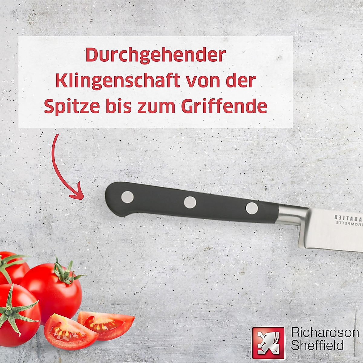 RICHARDSON SHEFFIELD R08000P101116 Sabatier Trompette All Purpose Knife, Silver