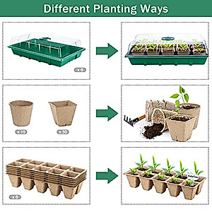 Hahood 6 Sets Cells Seed Starter Tray Kit with Humidity Dome and Base Seed Starter Peat Pots Germination Trays Including Plastic Plant Growing Trays for Indoor Outdoor Gardening, Green