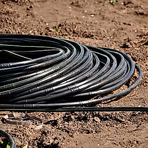 (100' ft Roll) Drip Irrigation Line 1/4" Tubing Roll, 6" Emitter Spacing .52 GPH, Color Black (.170 ID x 240 OD) - Will Work from Gravity Feed (100' Foot Roll)