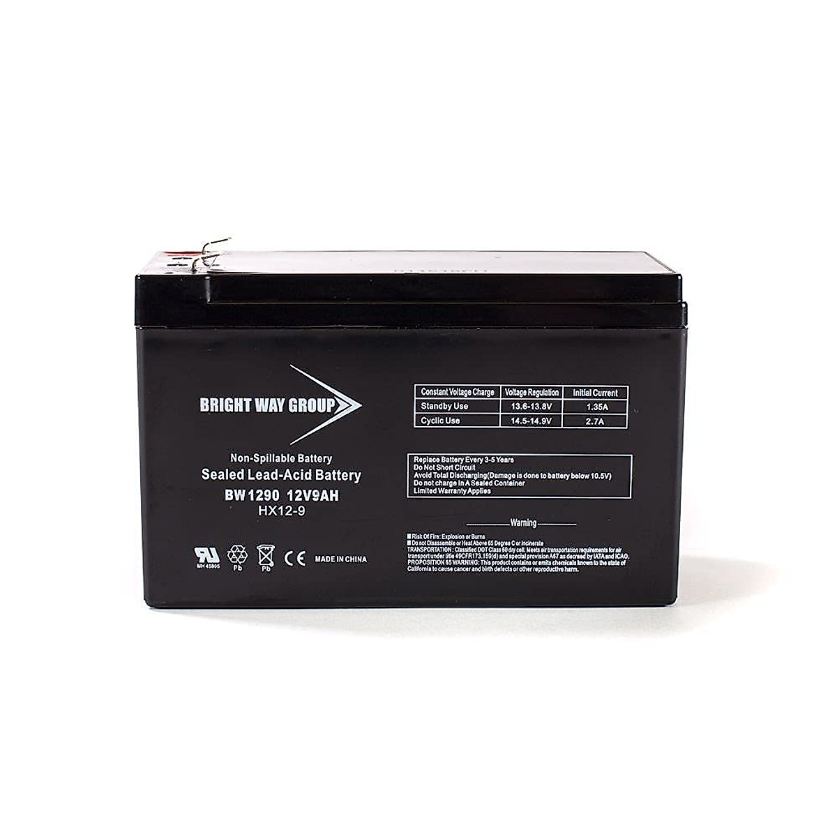 Bright Way Replacement Battery for Tripp Lite BC4382 12V 9AH F2 UPS Battery