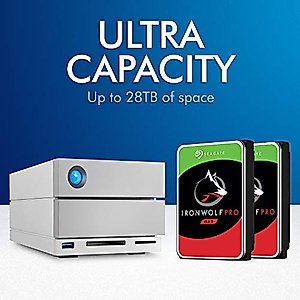 LaCie 2big Dock RAID 16TB External RAID Hard Drive HDD with SD Card CF Card Slots, for Mac and PC Desktop Data Redundancy Thunderbolt 3 USB-C USB 3.0, 1 Month Adobe CC, Data Recovery (STGB16000400)