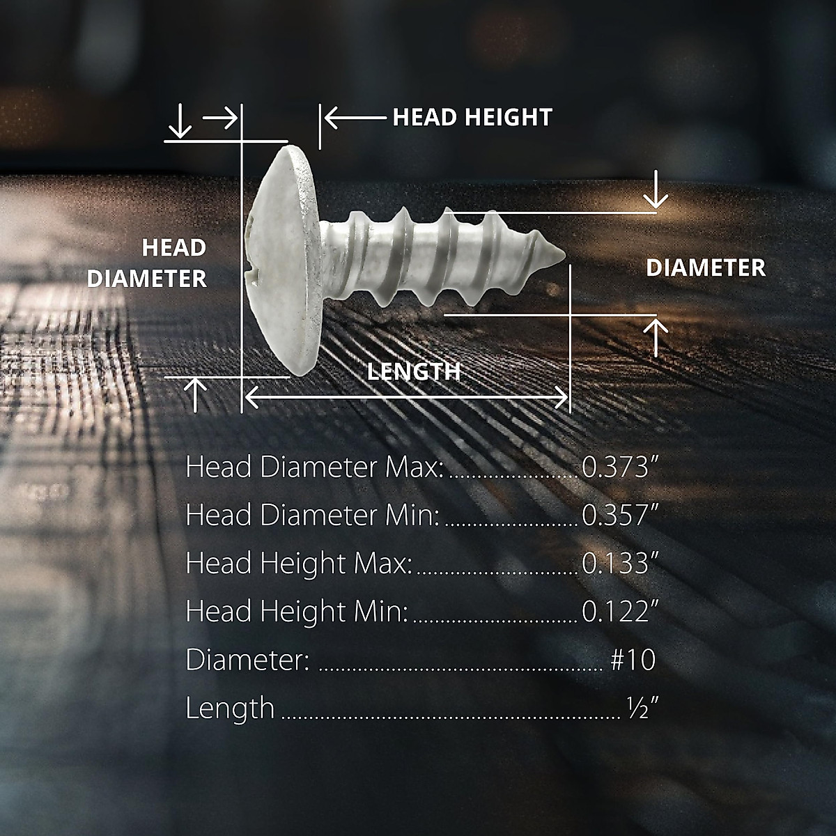 #10 x 1/2" Stainless Steel Sheet Metal Screws, 18-8 Marine Phillips Truss Head Screws, Self Tapping Screws for Metal and Wood, Pack of 25