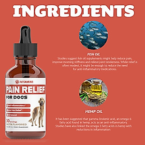Natural Pain Relief for Dogs | Dog Pain Relief | May Help with Joint, Hip, Heart Health & Much More | Pain Relief for Dogs for Older Dogs | Dog Supplements & Vitamins | Dog Joint Pain Relief | 1 fl oz