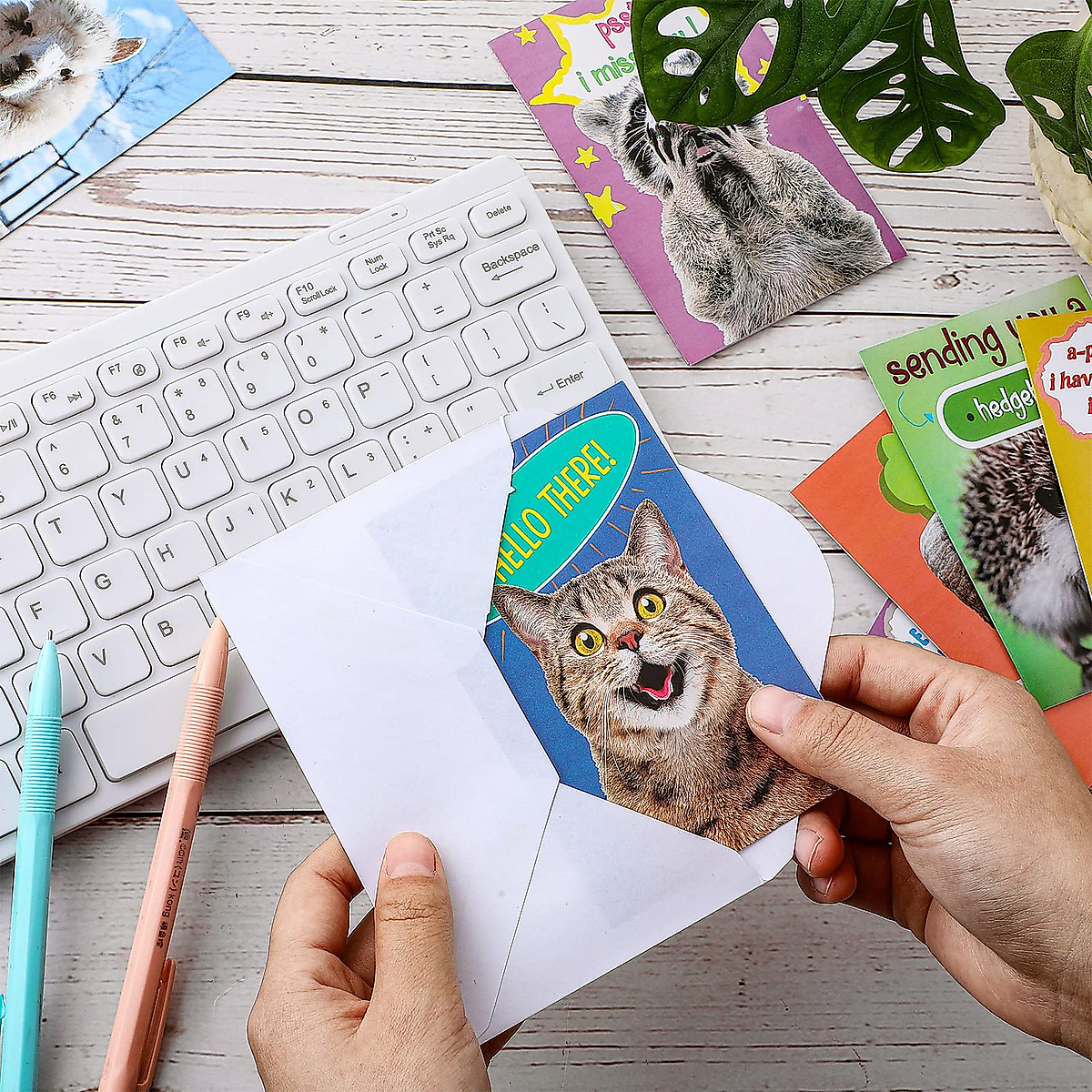 Panelee 60 Set Funny Greeting Cards Set with Envelopes Gratitude Blank Boxed Animal Note Cards Funny Affirmation Cards Appreciation Thank You Postcards for Employee Friends Business Coworker