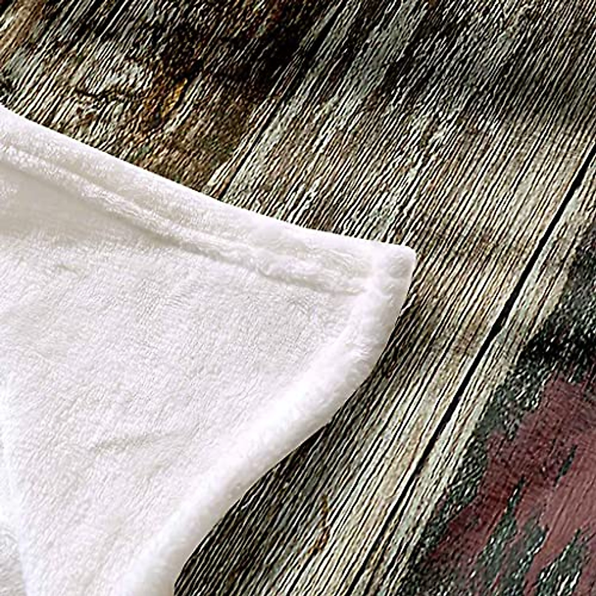 NARBOR Soft Fleece Throw Blanket - Fluffy Microfiber Solid Blankets for Bed and Couch Double/Single Size - 59X79Inch Blue, Wooden Door Printed Flannel Blanket for Bed, Couch and Sofa