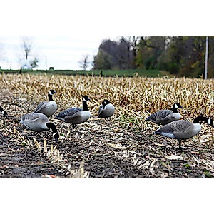 Flambeau Outdoors 8990FBU Storm Front 2 Canada Goose Decoys, Full Body Flocked Heads - 6-Pack