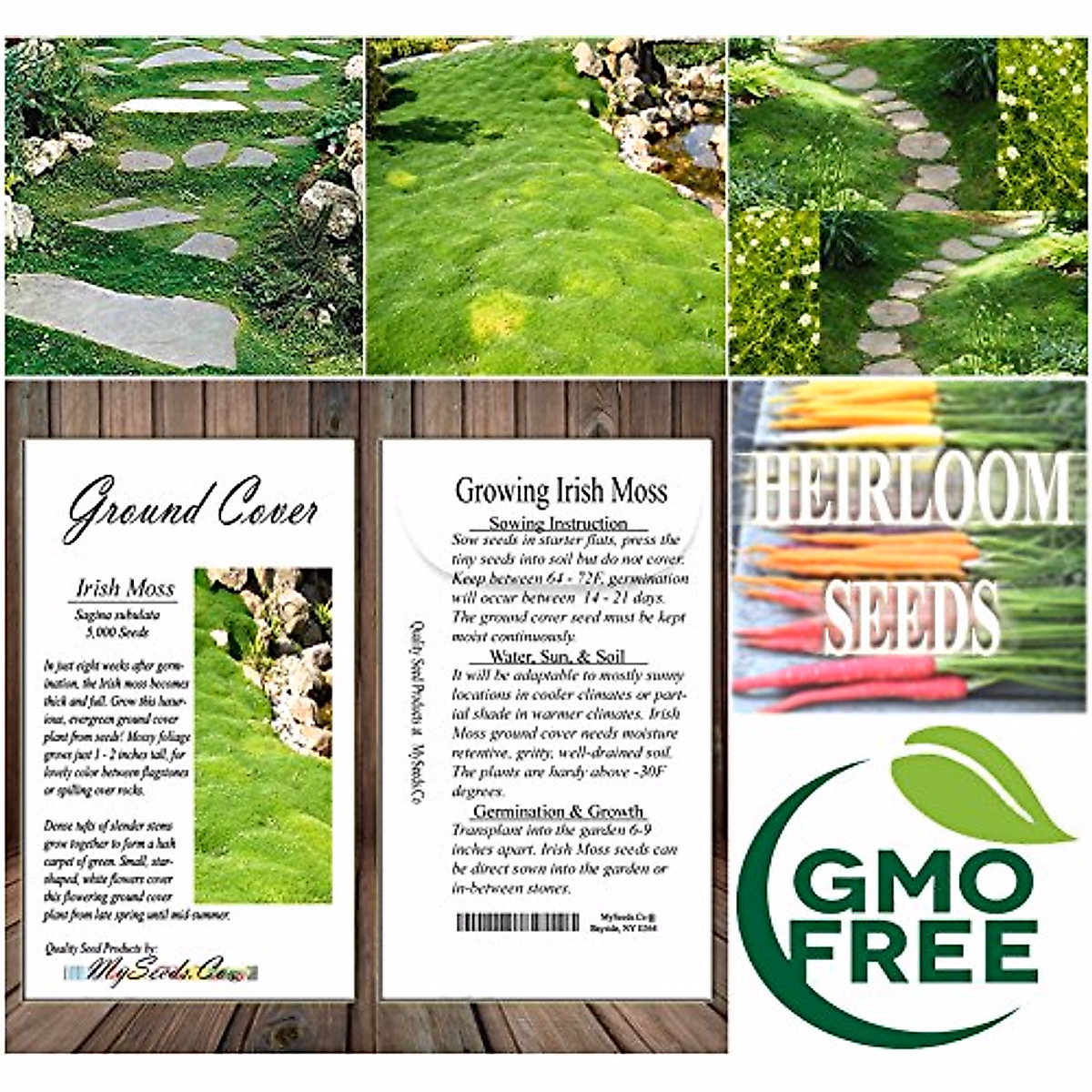 IRISH MOSS SEEDS, Sagina subulata, Heath Pearlwort, Perfect In Garden, Lawn Substitue or In-Between Stones, Groundcover Heath Pearlwort, Zones 4-10 - By MySeeds.Co (10000 Seeds)