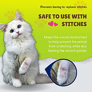 Pet-Setter Animal Wound and Skin Care Spray for all Pets Dog and Cat Cleanser Will Soothe Skin Irritations Treat Cuts Provide Itch Relief Eliminate Pet Odor Even Bad Breath Made in USA 16 Oz