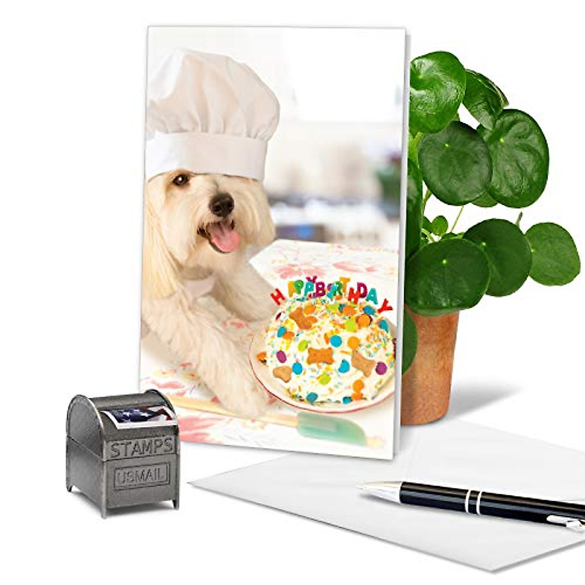 NobleWorks - 1 Cute Birthday Card with Envelope - Funny Wild Animals and Pets, Birthday Greeting - Dog Chef C3200BDG