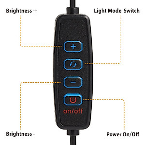 ONEXT USB LED Desk Lamp with Phone Holder Flexible Gooseneck 3 Color Modes 10 Brightness Dimmable for Reading Nightlight Work