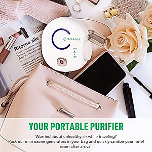 TERRADISE Mini Ozone Generator Air Purifier 2 Pack, Portable Plug-in Ozone Machines