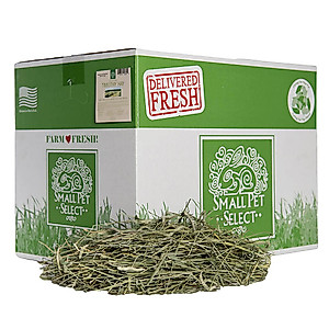 Small Pet Select 1st Cut Timothy Hay Pet Food for Rabbits, Guinea Pigs, and other Small Animals, Easy to Store Box, 20 LB