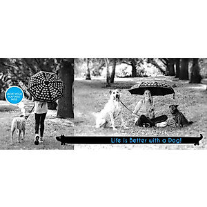 FLAT CATS & FLAT DOGS Travel Umbrella with Automatic Open & Close Function | Small, Foldable & Portable Compact Umbrella for Backpack | Windproof Umbrellas for Rain & UV Protection