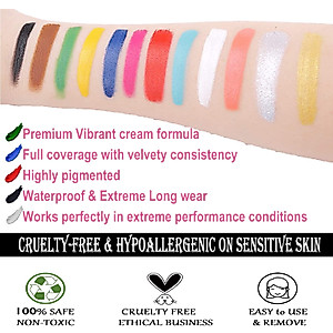 CCbeauty Professional Face Body Paint Oil 12 Colors Halloween Art Party Fancy Makeup Palette Set with 10 Blue Brushes,Deep