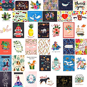Fresh & Lucky 40 Greeting Cards Assortment Box all Occasion With White Envelopes - 4" x 6" Folded Thick Cards With Colorful, Funny Unique Designs