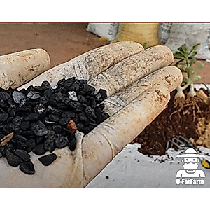 O-FarFarm Horticultural Charcoal for Potted Plants 1 QT, Hardwood Charcoal for Potting Soil Amendment, Orchids, Terrariums, and Gardening
