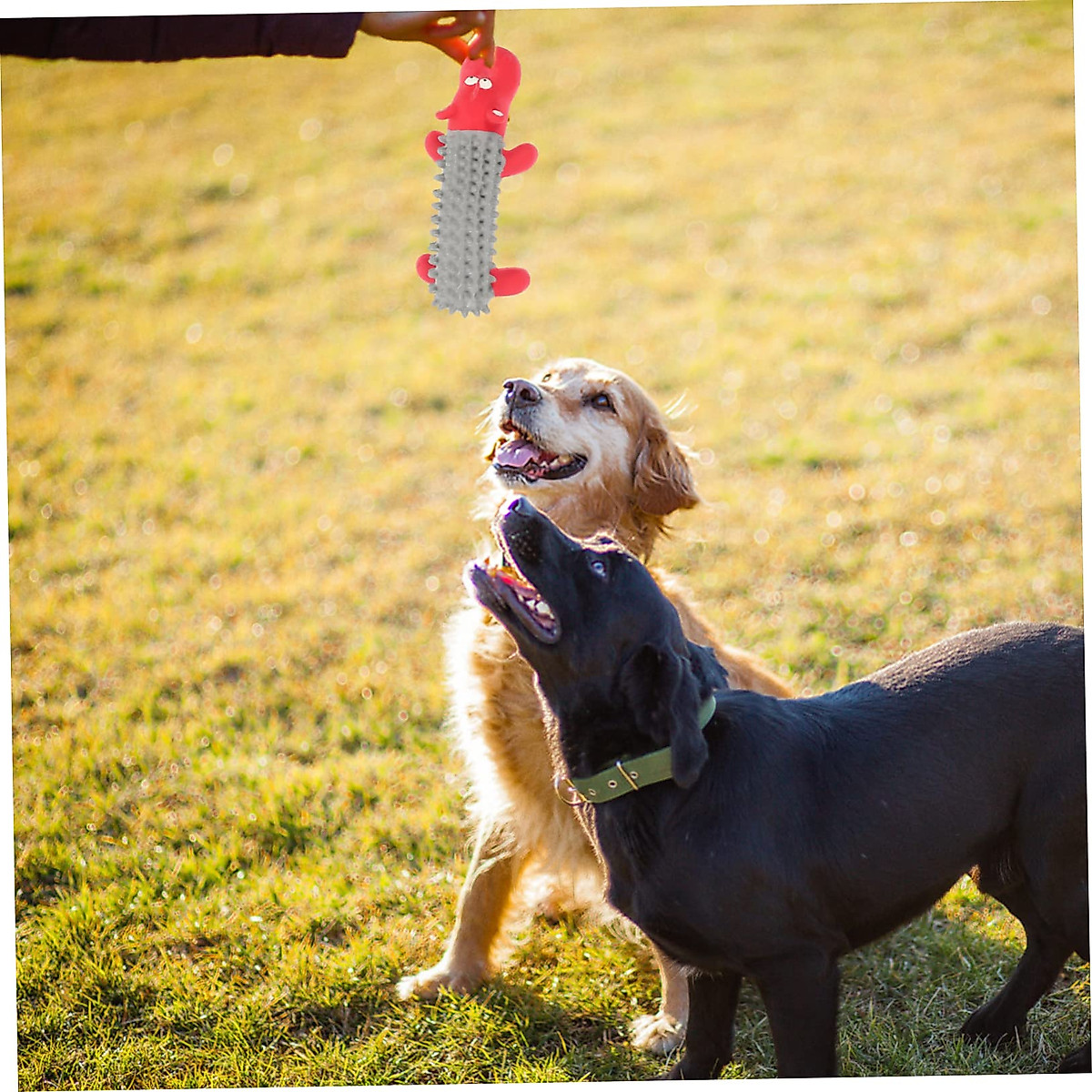 SUPVOX Pet Latex Toys Puppy Teeth Cleaning Toy Dog Biting Toy Puppy Chewing Toy Dog Plaything Puppy Toy Latex Pet Toy Puppy Biting Toy Dog Chewing Toy Dog Molar Plaything