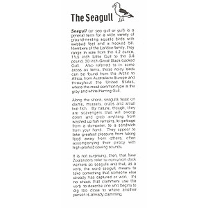 The Greedy Gull Dice Game by Koplow Games