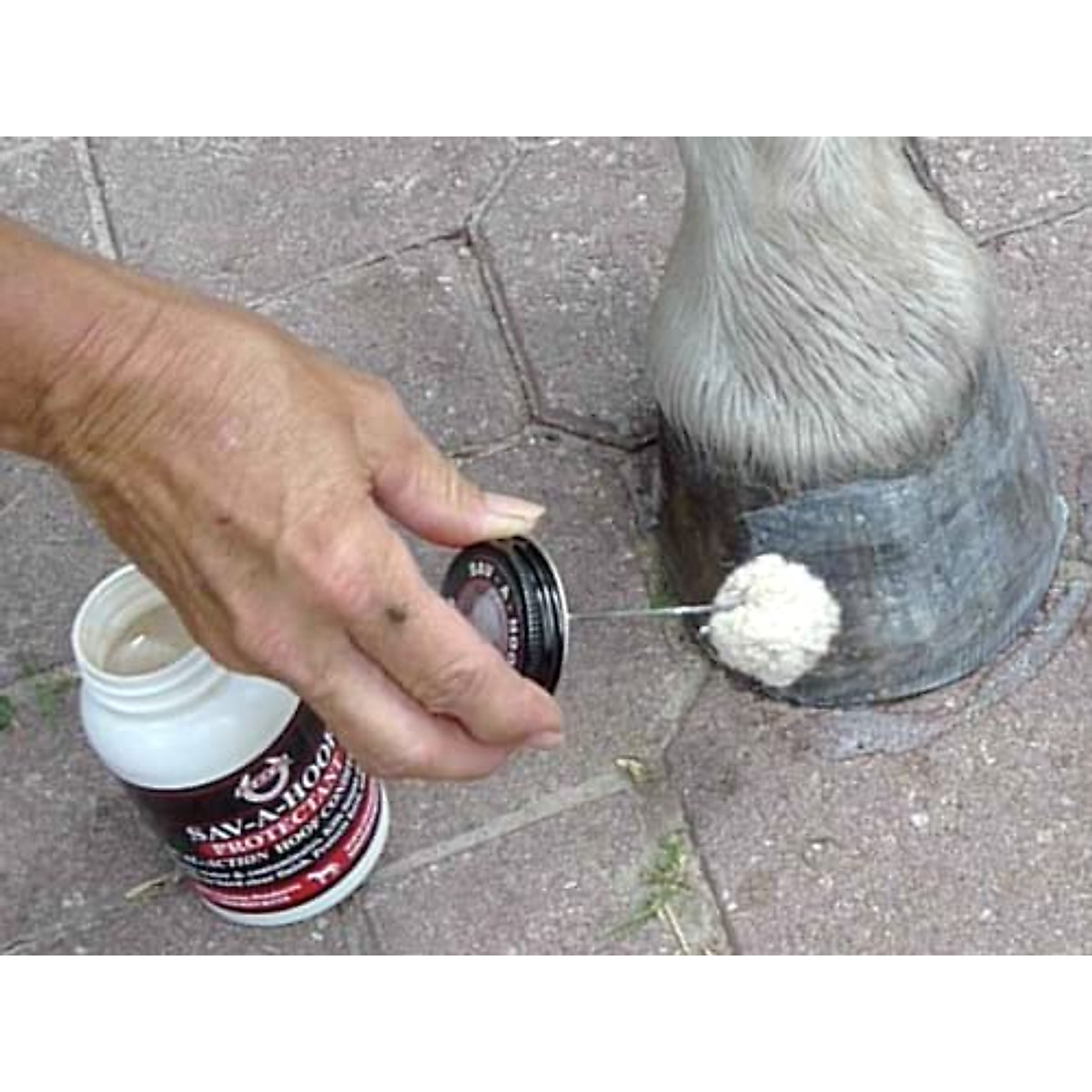 SAV-A-HOOF PROTECTANT by SBS Equine , Dual-Action Hoof Conditioner, Antiseptic Barrier Against Infection, Repels Moisture & Contaminates, 7.5 fl. oz.
