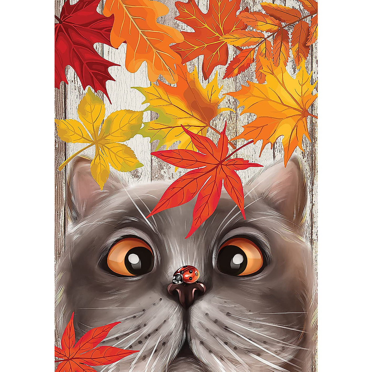 Toland Home Garden 1112655 Fall Cat and Ladybug Fall Flag 12x18 Inch Double Sided for Outdoor Cat House Yard Decoration