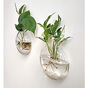 Mkono Wall Hanging Planter Propagation Station Glass Flower Vase for Hydroponics Plants, Bathroom, Home Office Living Room Decor Gift, Oblate Set of 4