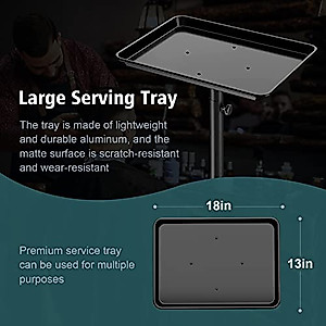 Salon Tray Cart, Premium Aluminum Rolling Trolley Cart with Wheels & Adjustable Height, W/Accessory Caddy Aluminum Mobile Utility Trolley Tool Holder