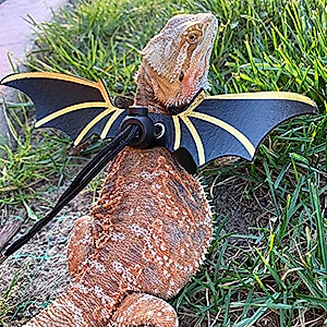 ADOGGYGO Bearded Dragon Lizard Leash Harness - Adjustable Cool Leather Wing Lizard Reptile Harness Leash for Bearded Dragon Lizard Reptiles (Black)