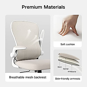 Hbada Ergonomic Office Chair with Up&Down Adjustable Lumbar Support and Flip Up Arm, Swivel Computer Desk Chair with Adjustable Height, Breathable Mesh Office Chair with PU Wheels, Gray