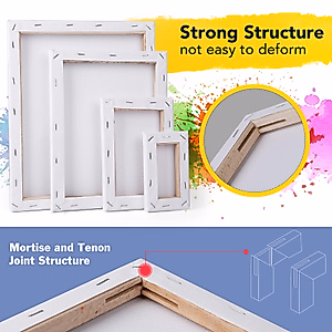 Stretched Canvases for Painting, 8PCS Multi Pack Canvas 3×5”, 5×7”, 8×10”, 10×12”(2 of each), Acid-Free Wood Frame Blank Canvas, Art Canvas Pre Primed for Acrylic, Oil Painting, Tempera Paintings.