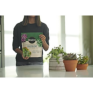 Miracle-Gro Succulent Potting Mix - Fertilized Soil with Premium Nutrition for Indoor Succulents, 4 qt. (2-Pack)