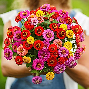 Zinnia Seeds - Lilliput Mix - 5 Pounds - Pink/Yellow/Orange Flower Seeds, Heirloom Seed Attracts Bees, Attracts Butterflies, Attracts Hummingbirds, Attracts Pollinators, Easy to Grow & Maintain