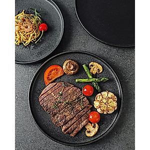 Lareina Dinner Plates, Scratch-resistant, 10.25 Inch Flat Ceramic Plate Set of 4, Porcelain Plates with Lipped Edge for Salad Steak in Kitchen Restaurant, Natural Primitive Texture (Cast Iron Black)