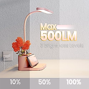 AXX Pink Desk Lamp for Home Office, Cute Desk Lamps for Bedrooms, Kawaii, Dimmable LED, Flexible Gooseneck, Pen Holder, Touch Control, Room College Dorm Essentials for Teen Girls Kids