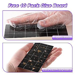 Qualirey Flying Insect Trap Mosquito Trap Indoor Plug in, Fruit Fly Traps for Indoors with 9W UV Light, 10 Sticky Glue Board Refills for Fruit Flies, Gnats, Moths, Indoor Fly Catcher for Home Office