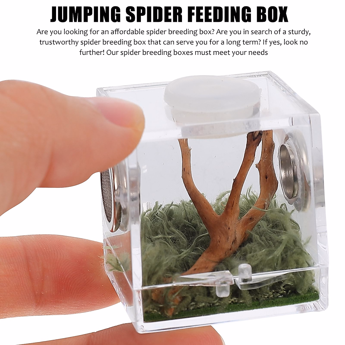 VILLCASE Glass Containers Spider Terrarium, Acrylic Reptile Breeding Box Jumping Spider Enclosure with Dropper Tongs for Tarantula Scorpion Sling Snake Gecko Amphibia