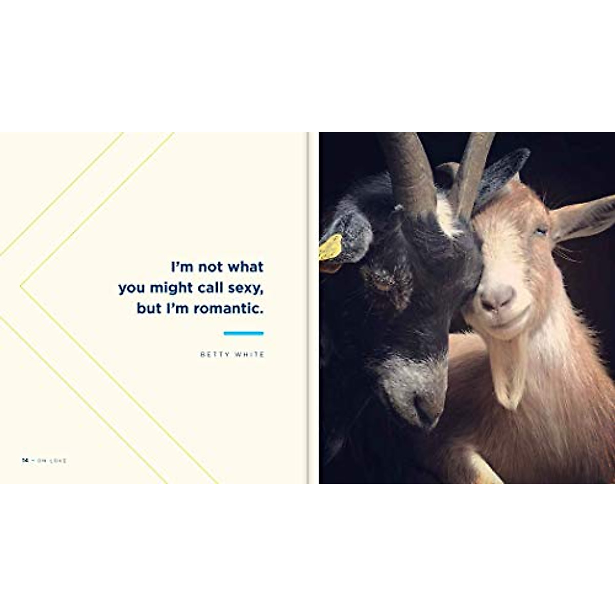 You've Goat This: Wisdom to Get You Through the Good, the Baaad, and Everything in Between