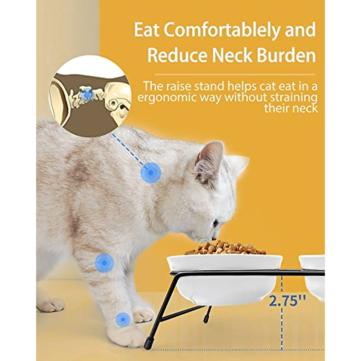 3 Cat Food Bowls Ceramic 13 oz Upgraded with Stainless Steel Stand Non-Slip and Anti-Rust Elevated Raised Cat Bowls for Food and Water, Pet Dishes Bowl for Indoor Cats and Puppy, Dishwasher Safe