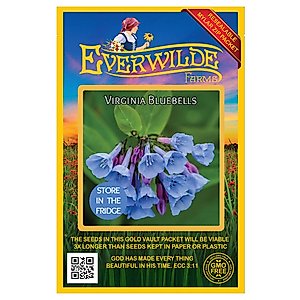 Everwilde Farms - 20 Virginia Bluebells Native Wildflower Seeds - Gold Vault Jumbo Seed Packet